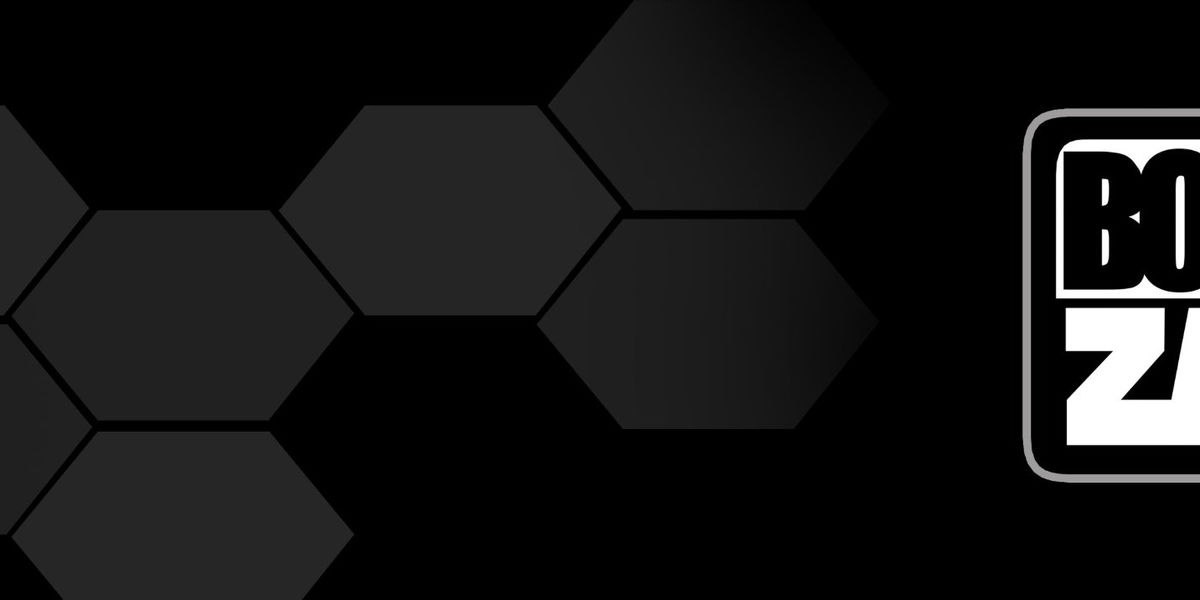 BoomZap Entertainment | GameCompanies.com