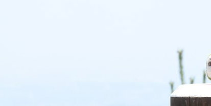 Good-Feel | GameCompanies.com