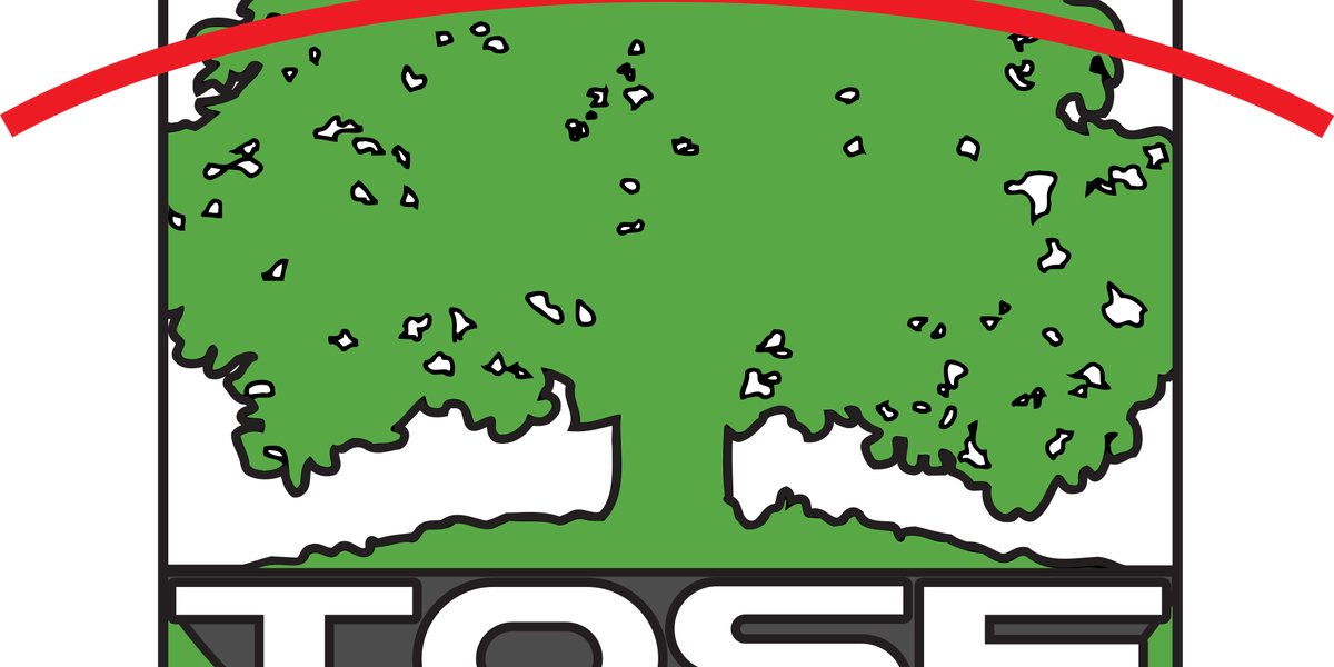 Tose Software | GameCompanies.com