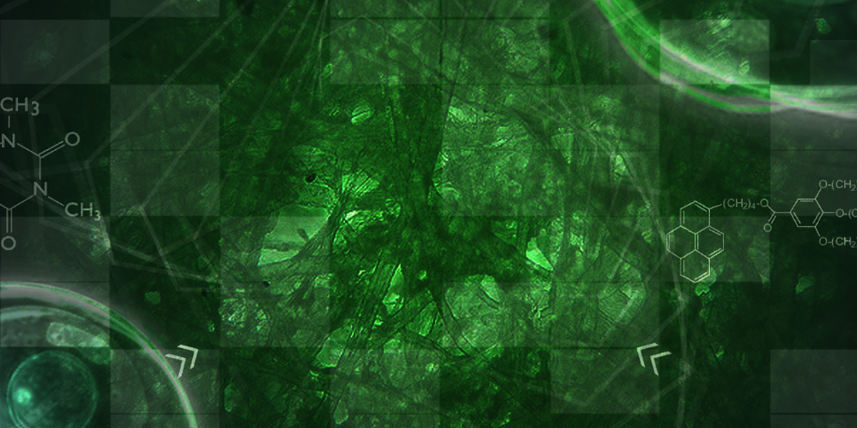 Biotix: Phage Genesis HD | GameCompanies.com