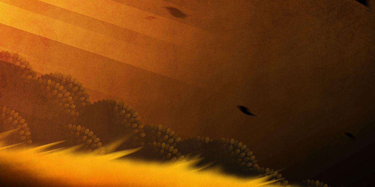 Once Upon a Coma | GameCompanies.com