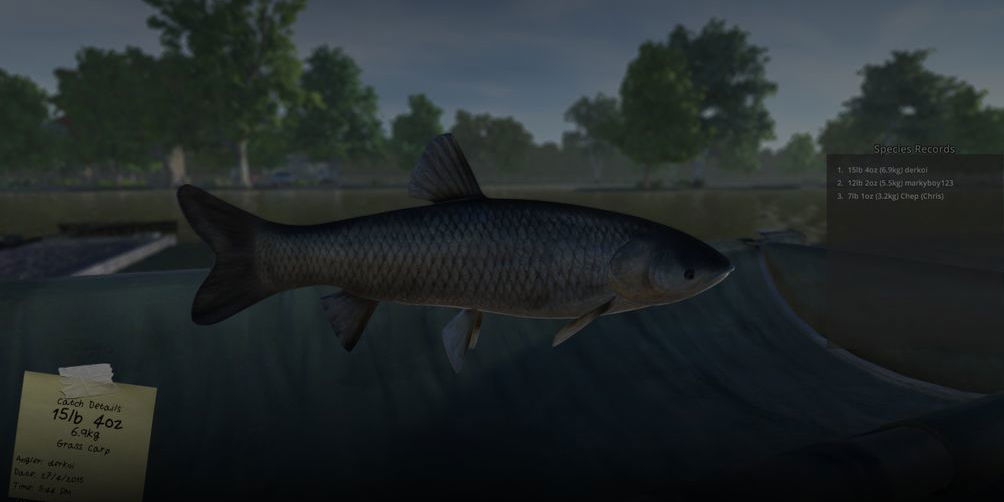 Carp Fishing Simulator | GameCompanies.com