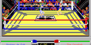 4D Sports Boxing | GameCompanies.com
