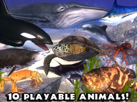 Ultimate Ocean Simulator | GameCompanies.com