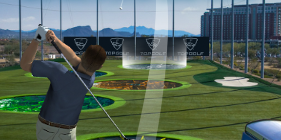 WGT Golf Game by Topgolf | GameCompanies.com
