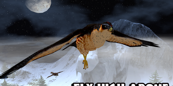Falcon Simulator | GameCompanies.com