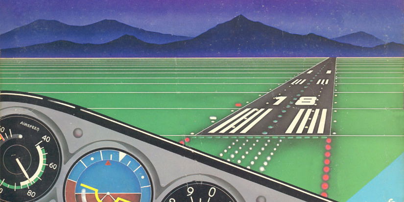 Microsoft Flight Simulator 2.0 | GameCompanies.com