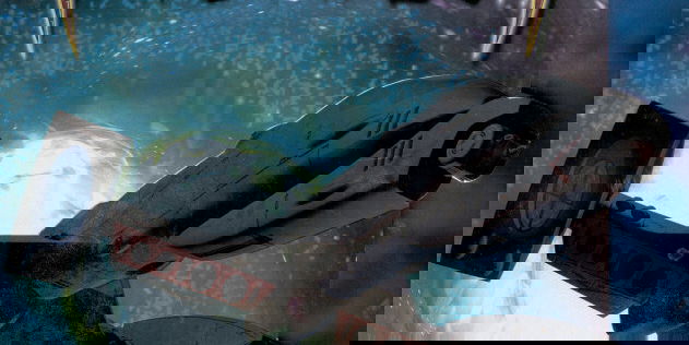 Wing Commander: Prophecy | GameCompanies.com