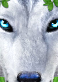 Ultimate Wolf Simulator | GameCompanies.com